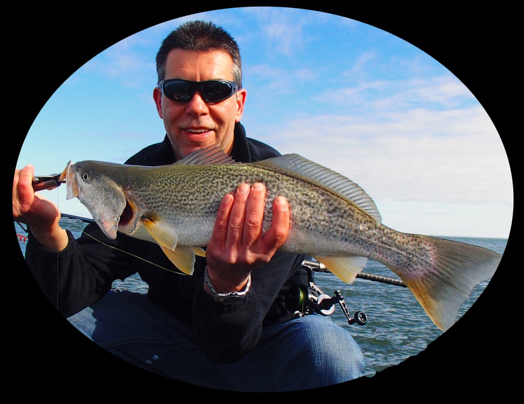 Weakfish | Surfcaster's Journal